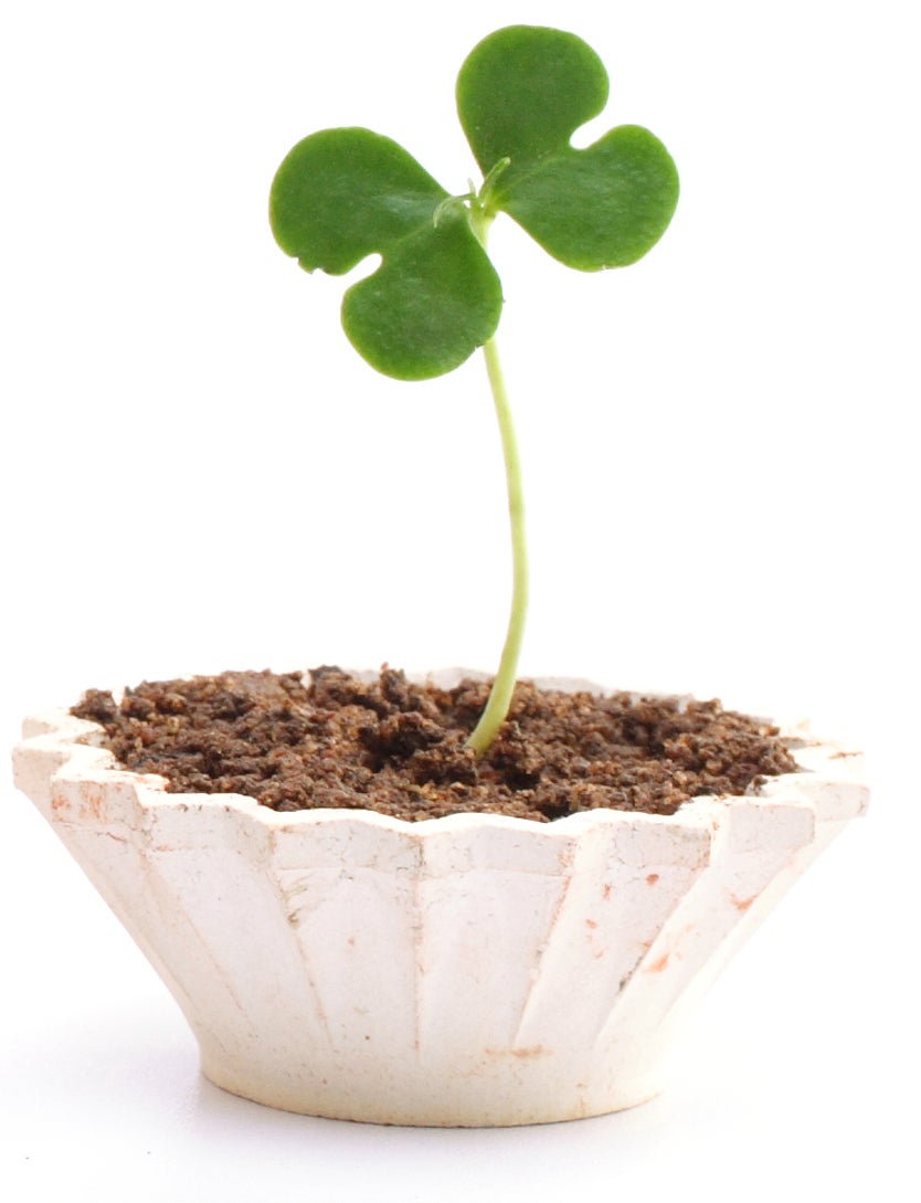 Everything You Need To Know About The Bidstream | AdExchanger