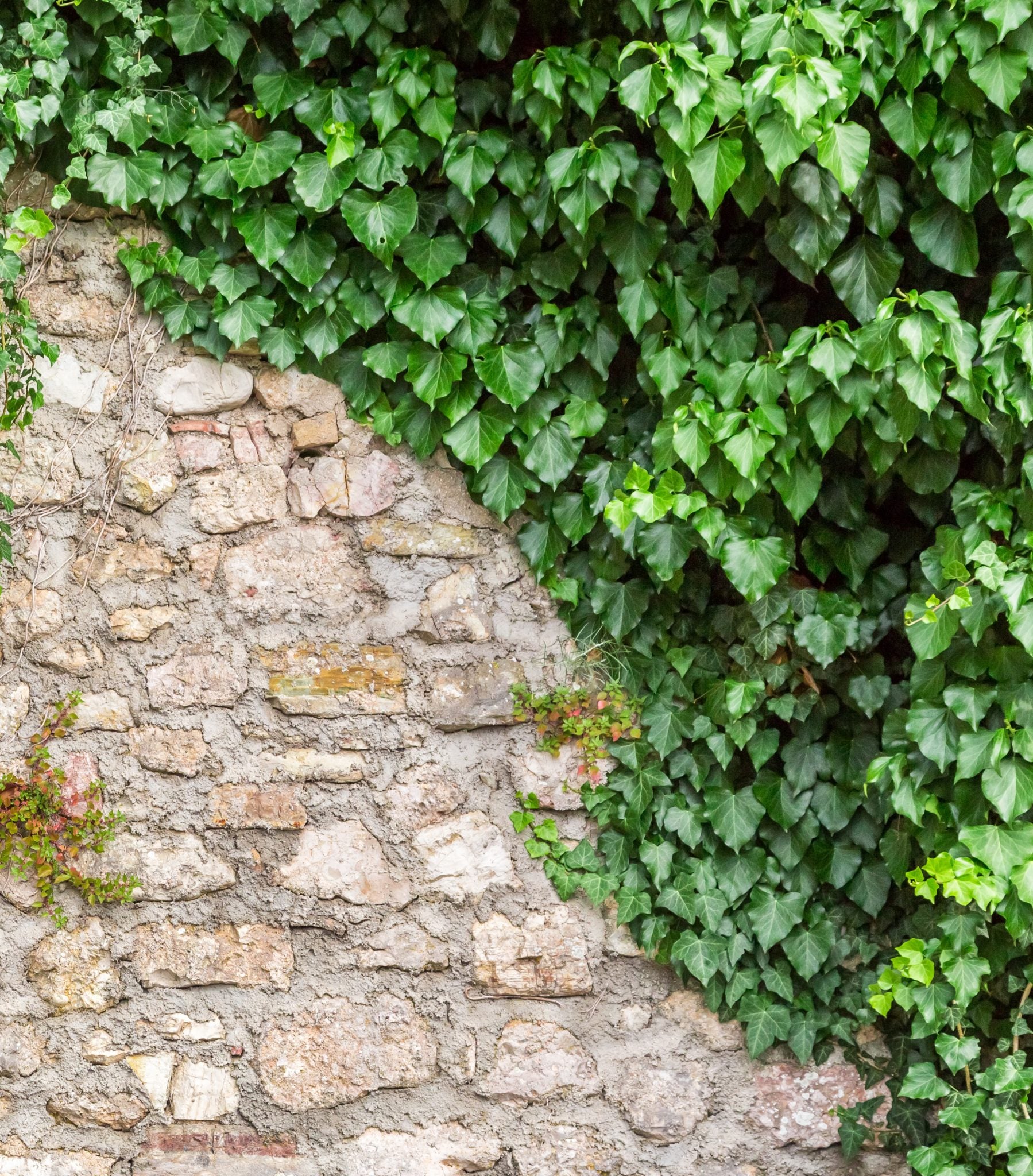 The Walled Gardens Are Eating Open Programmatic – Here’s How They Do It ...