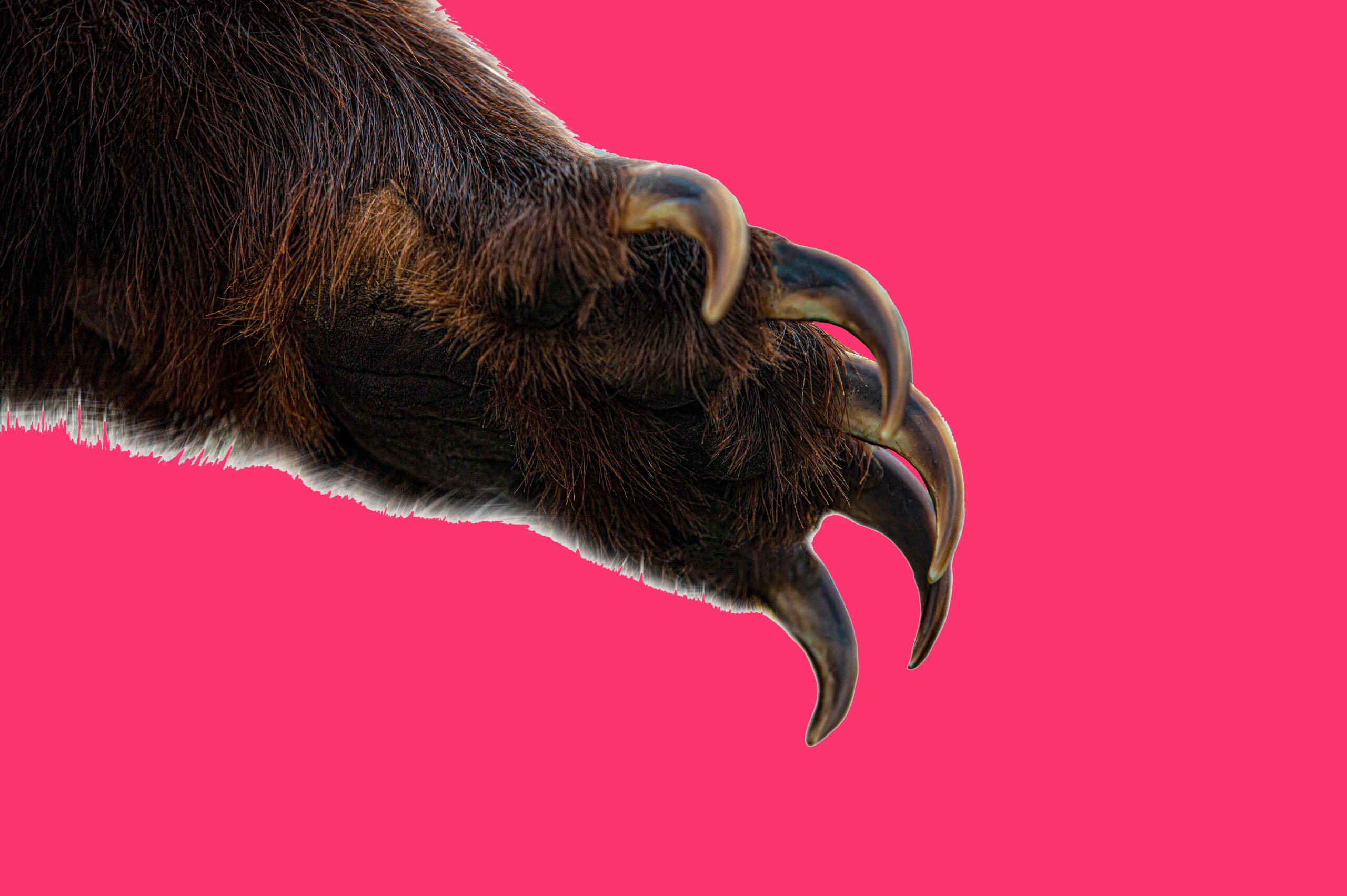 Publishers Cry Foul As SSPs Claw Back Revenue Lost To MediaMath’s ...