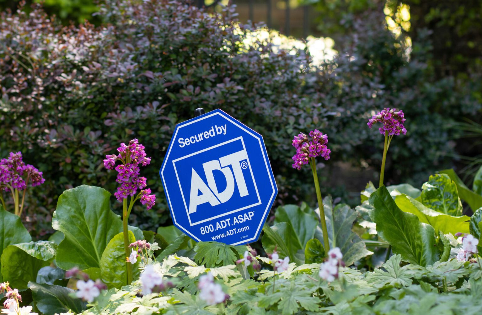 How Home Alarm System Brand ADT Learned To Love CTV | AdExchanger